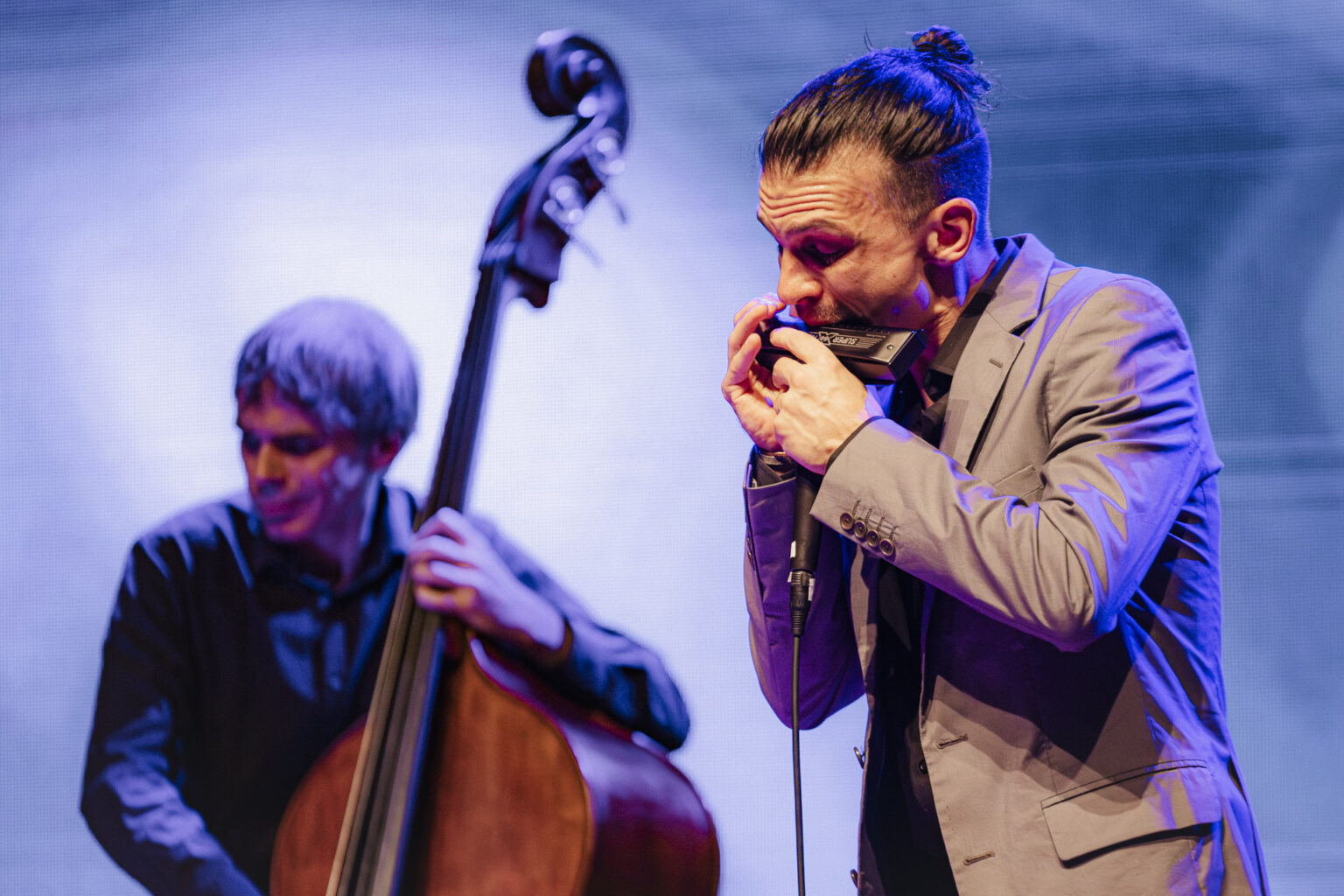 World Harmonica Festival 2029 - worldharmonicafestival.de