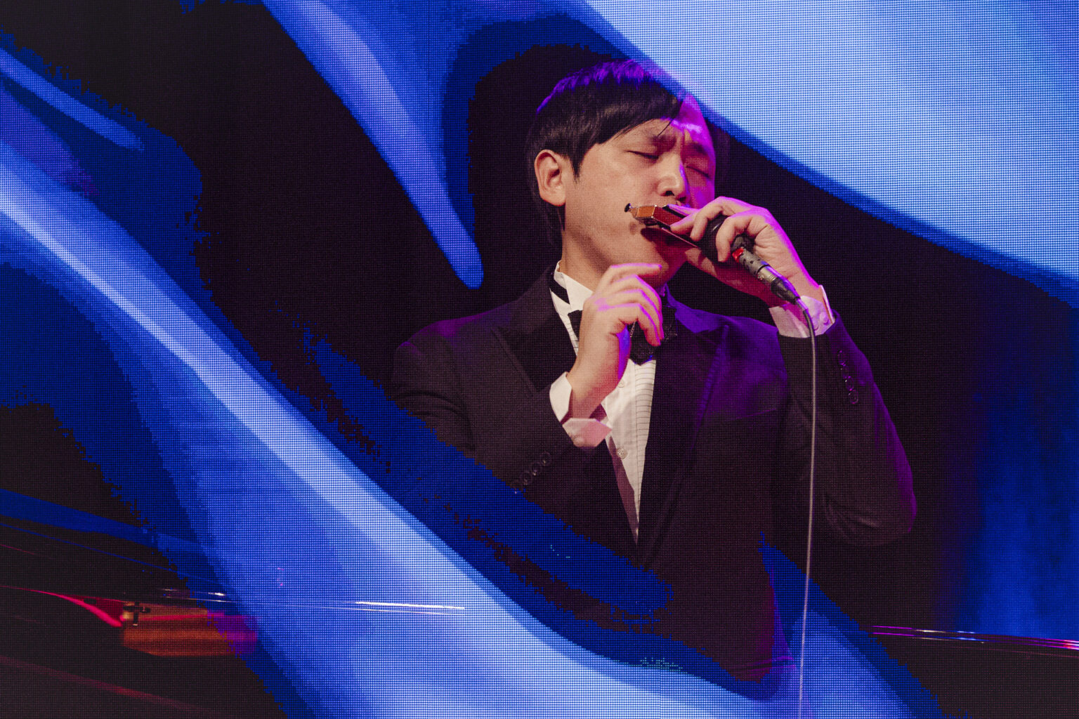 World Harmonica Festival 2029 - worldharmonicafestival.de